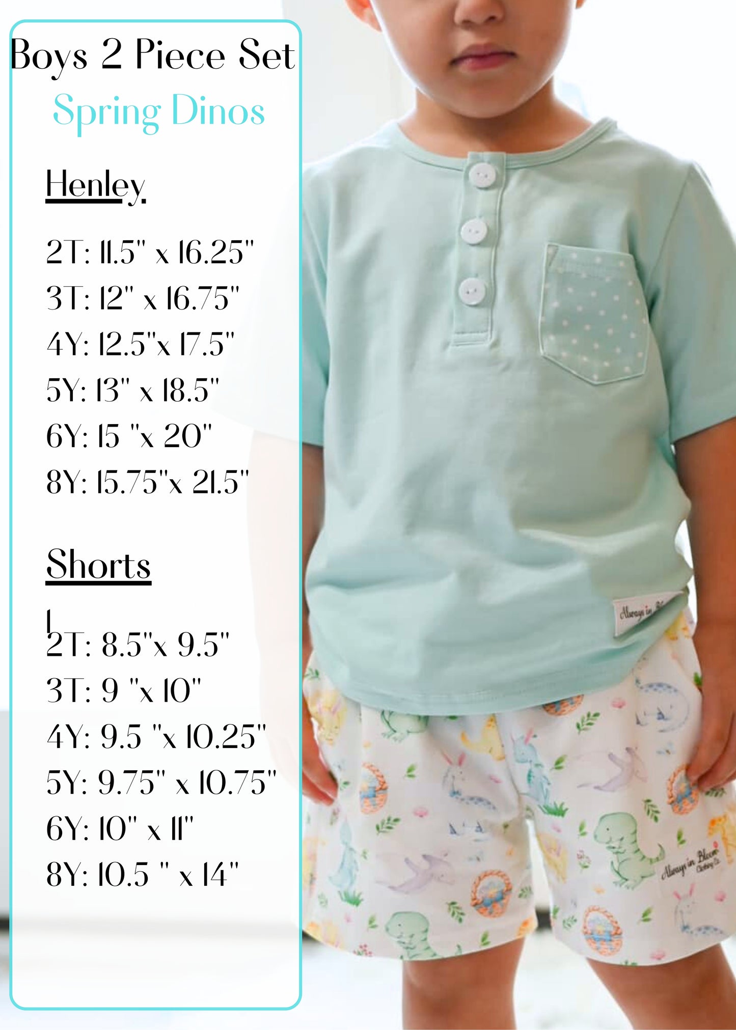 Boys Set - Spring Dinos - Always In Bloom Clothing Co